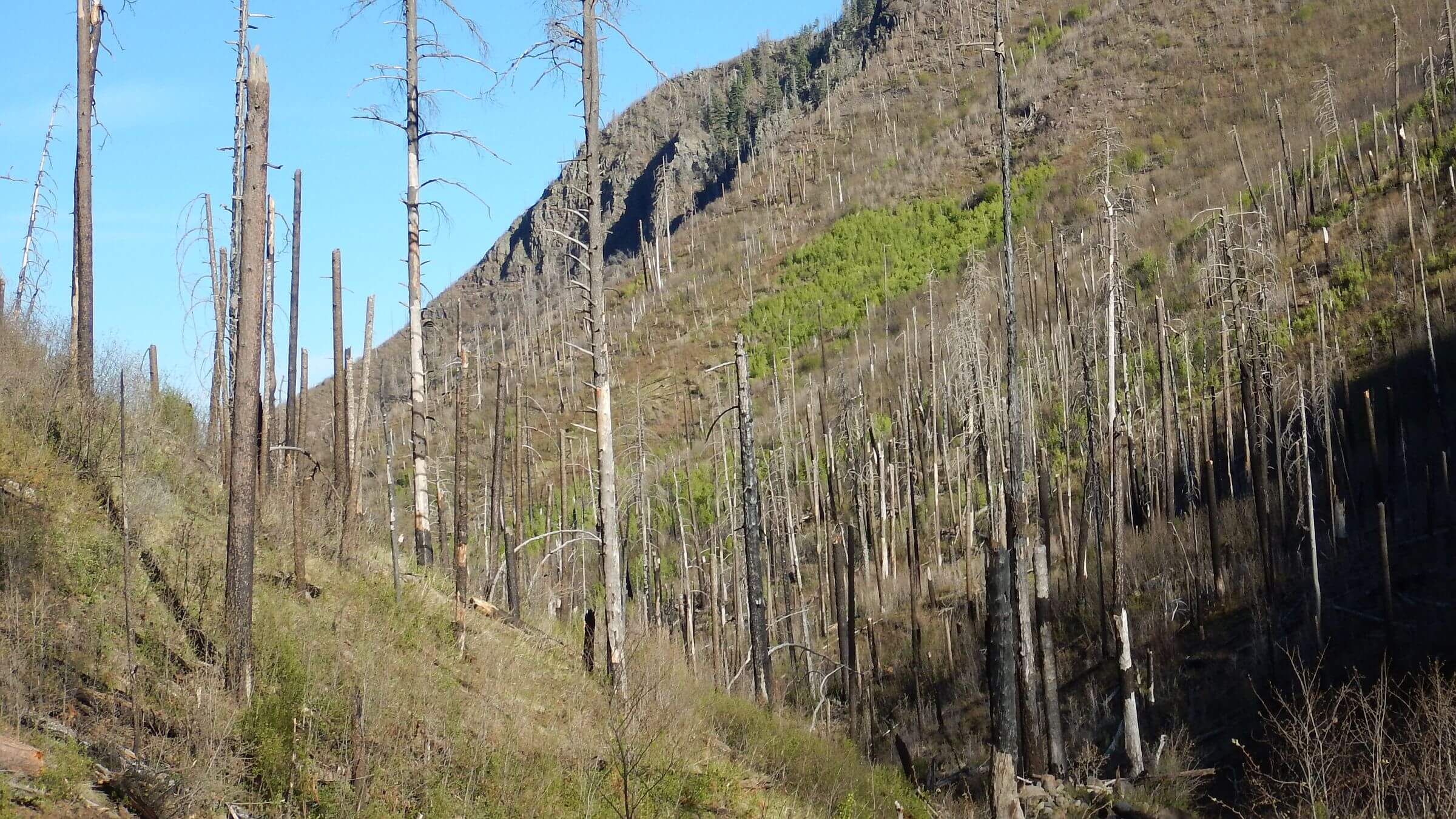 Blue Range Primitive Area, 2017 – Wilderness Need